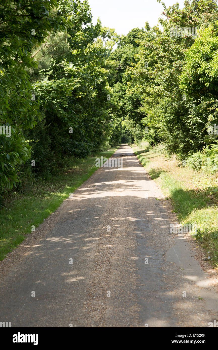 Quiet pathway with no people hi-res stock photography and images - Alamy