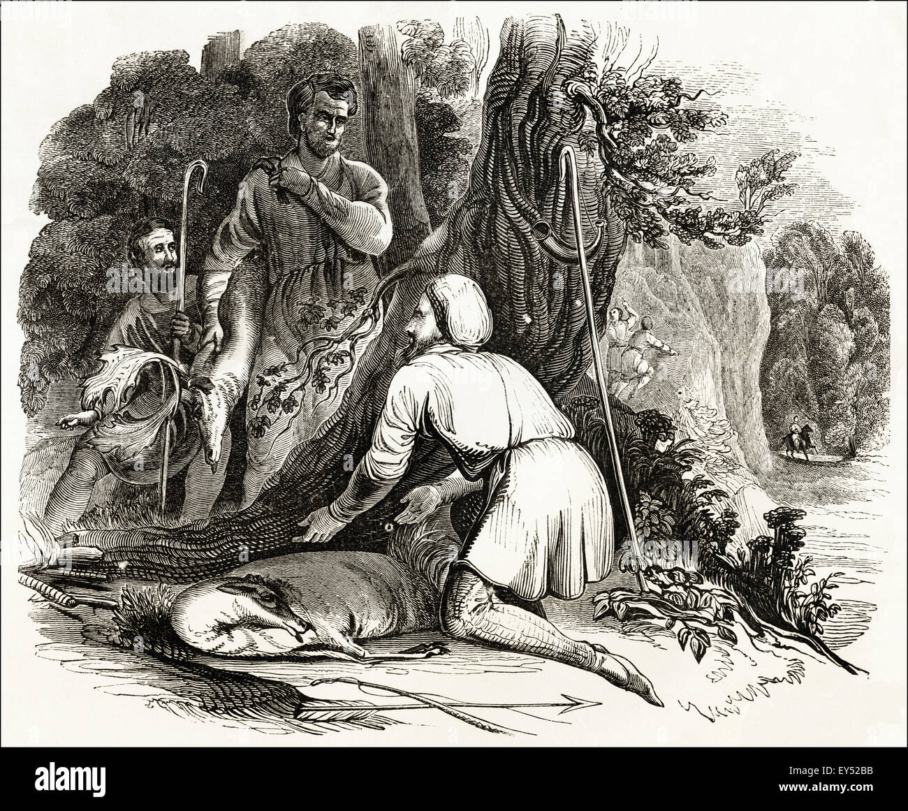 Bow hunting deer hi-res stock photography and images - Alamy