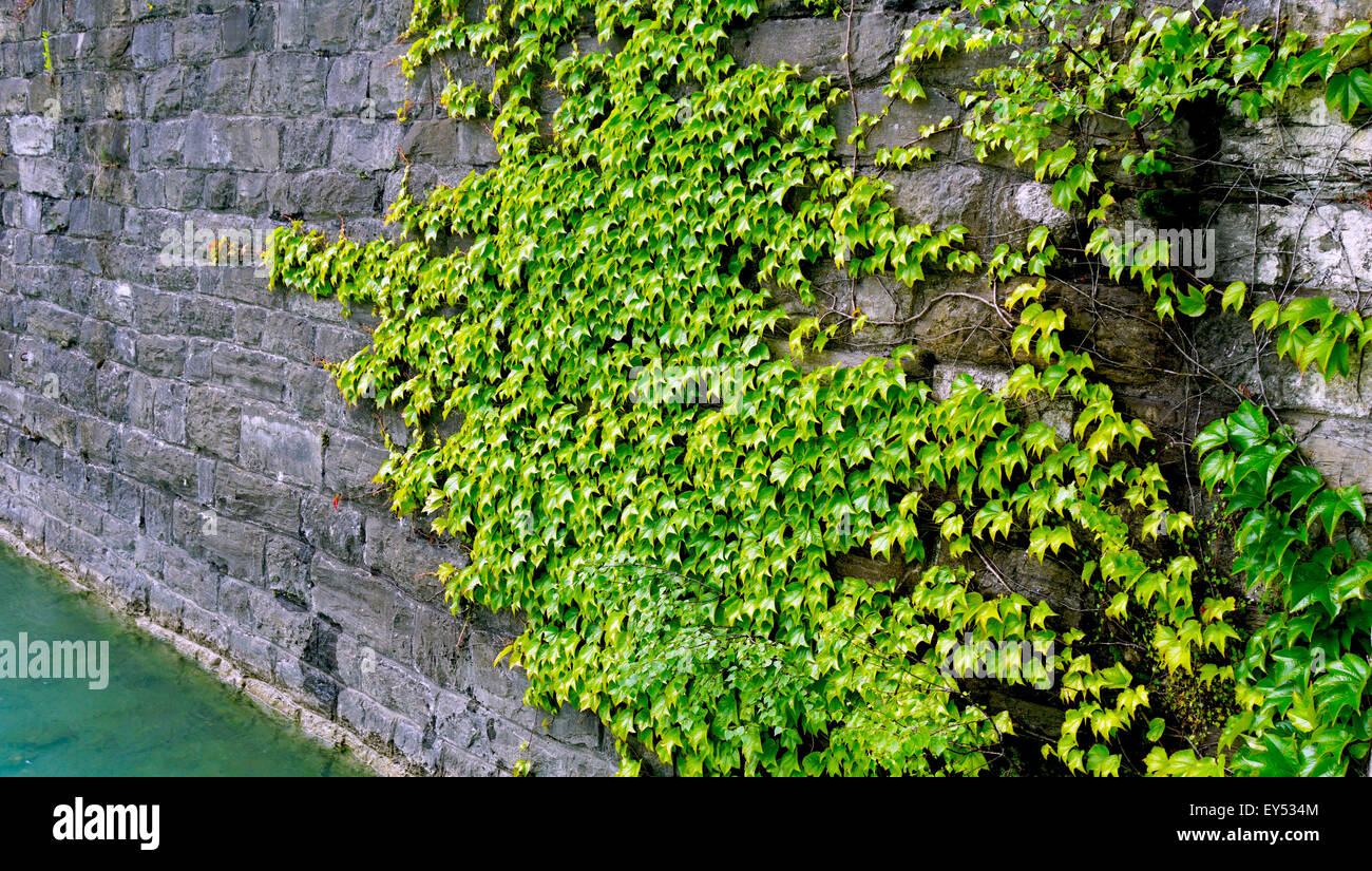 Horizontal panel hi-res stock photography and images - Alamy