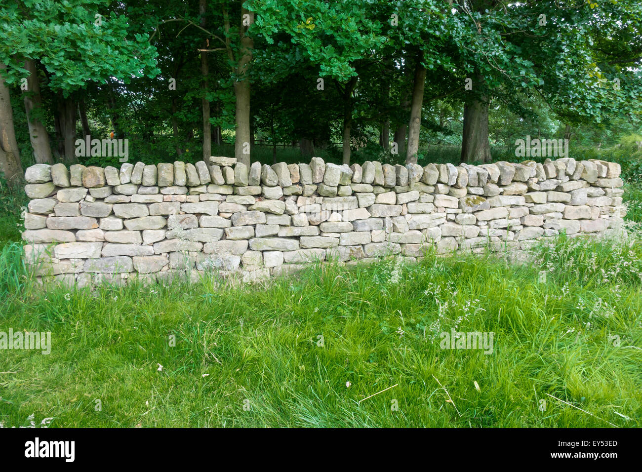 A demonstration construction of a dry stone field boundary wall at the ...