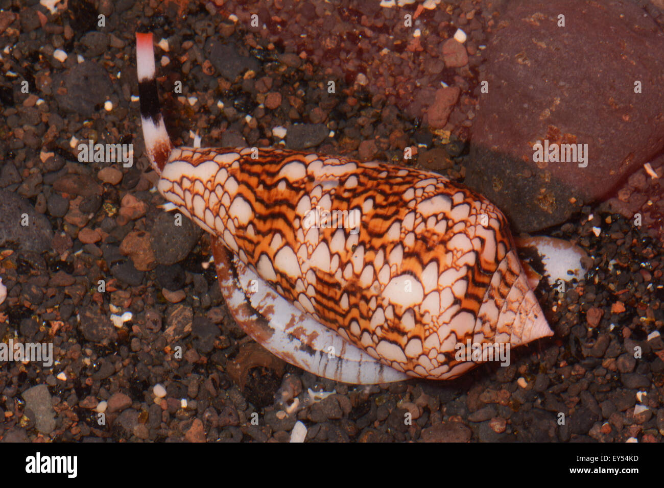 Textile cone hi-res stock photography and images - Alamy