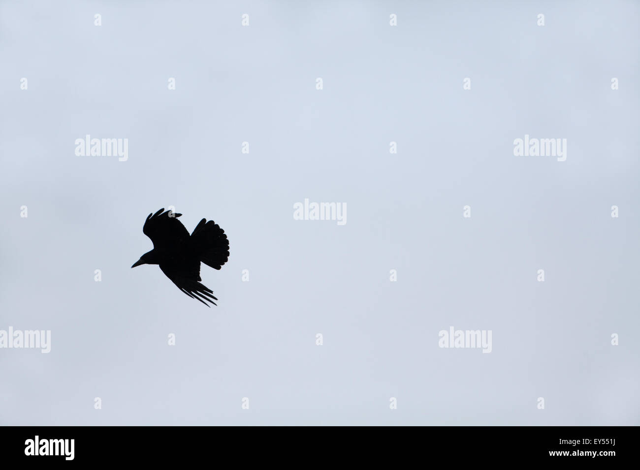 Struggling with wind hi-res stock photography and images - Alamy