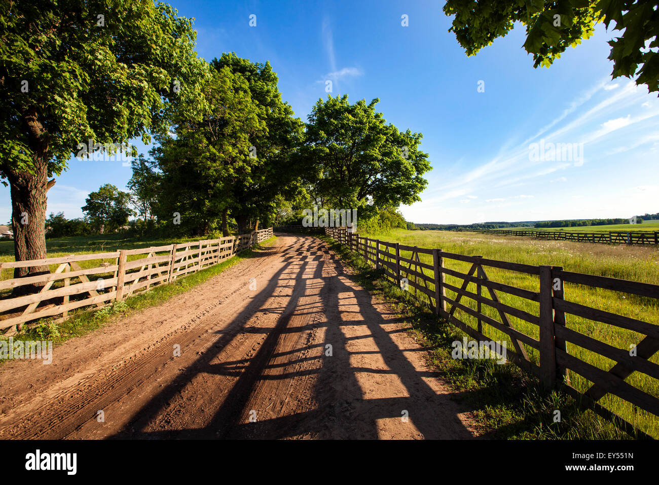 the old road Stock Photo - Alamy