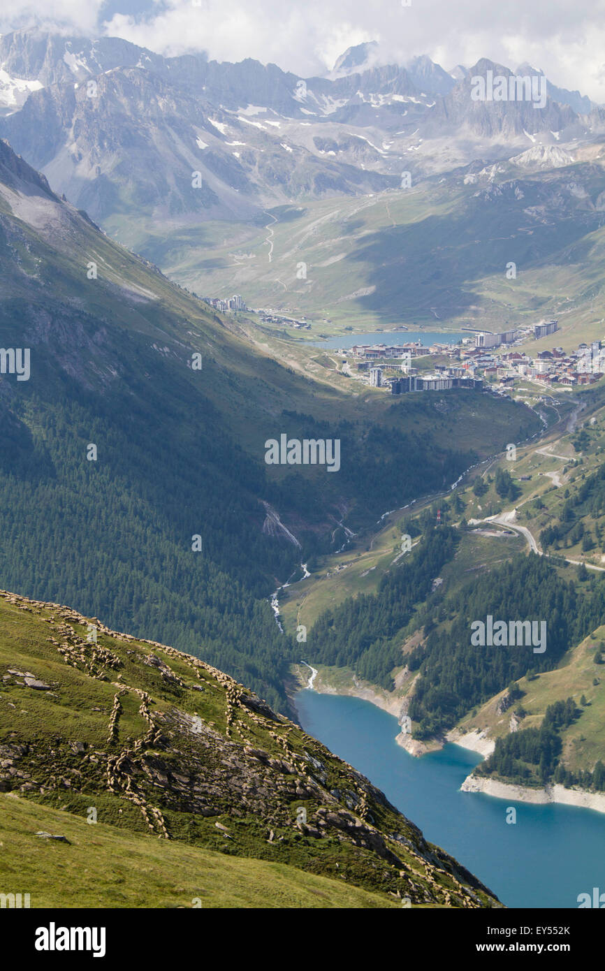 Sheep pasture above the lake Chevril - Alpes France face in Tignes ...