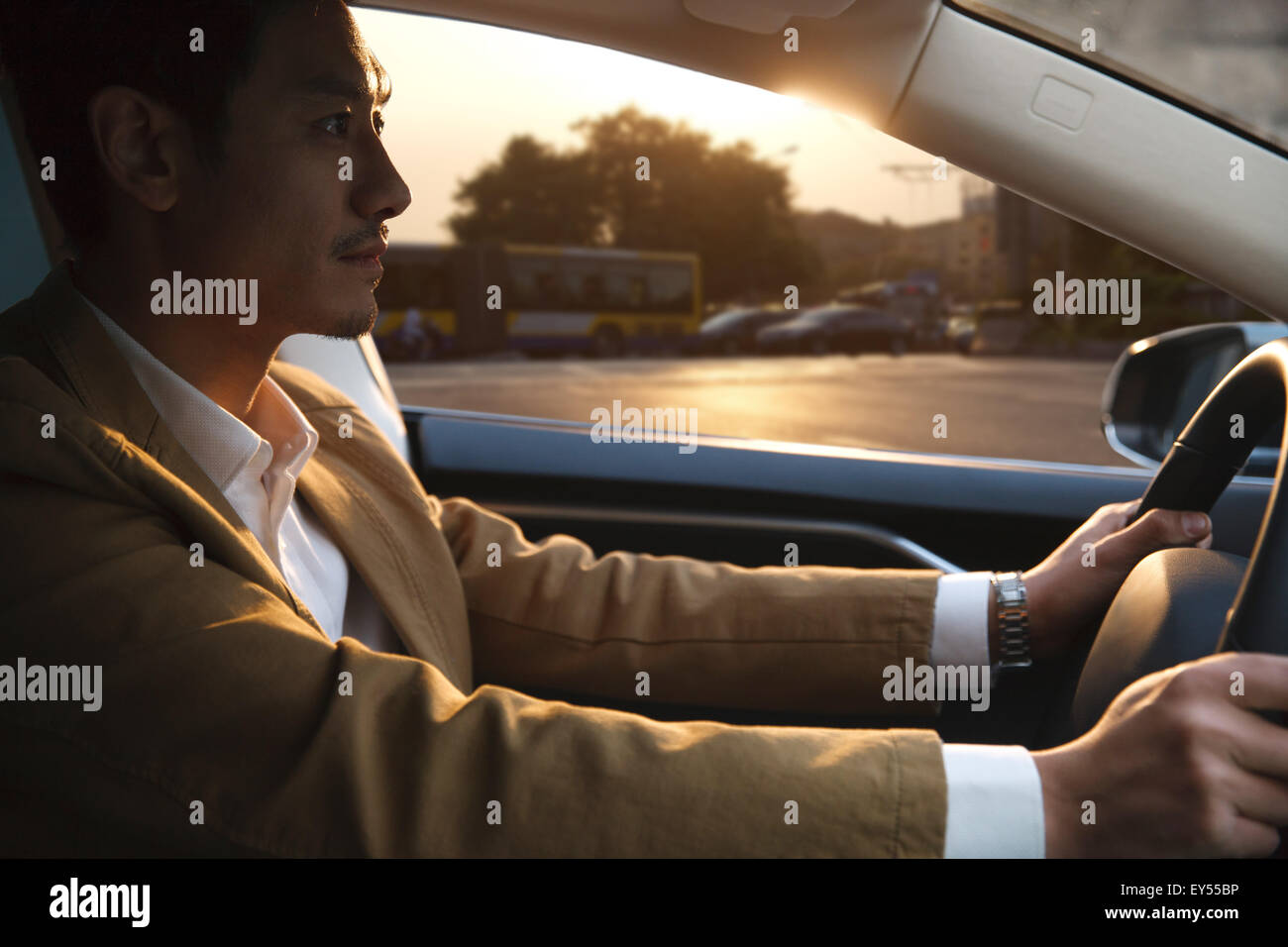 Business man driving Stock Photo - Alamy