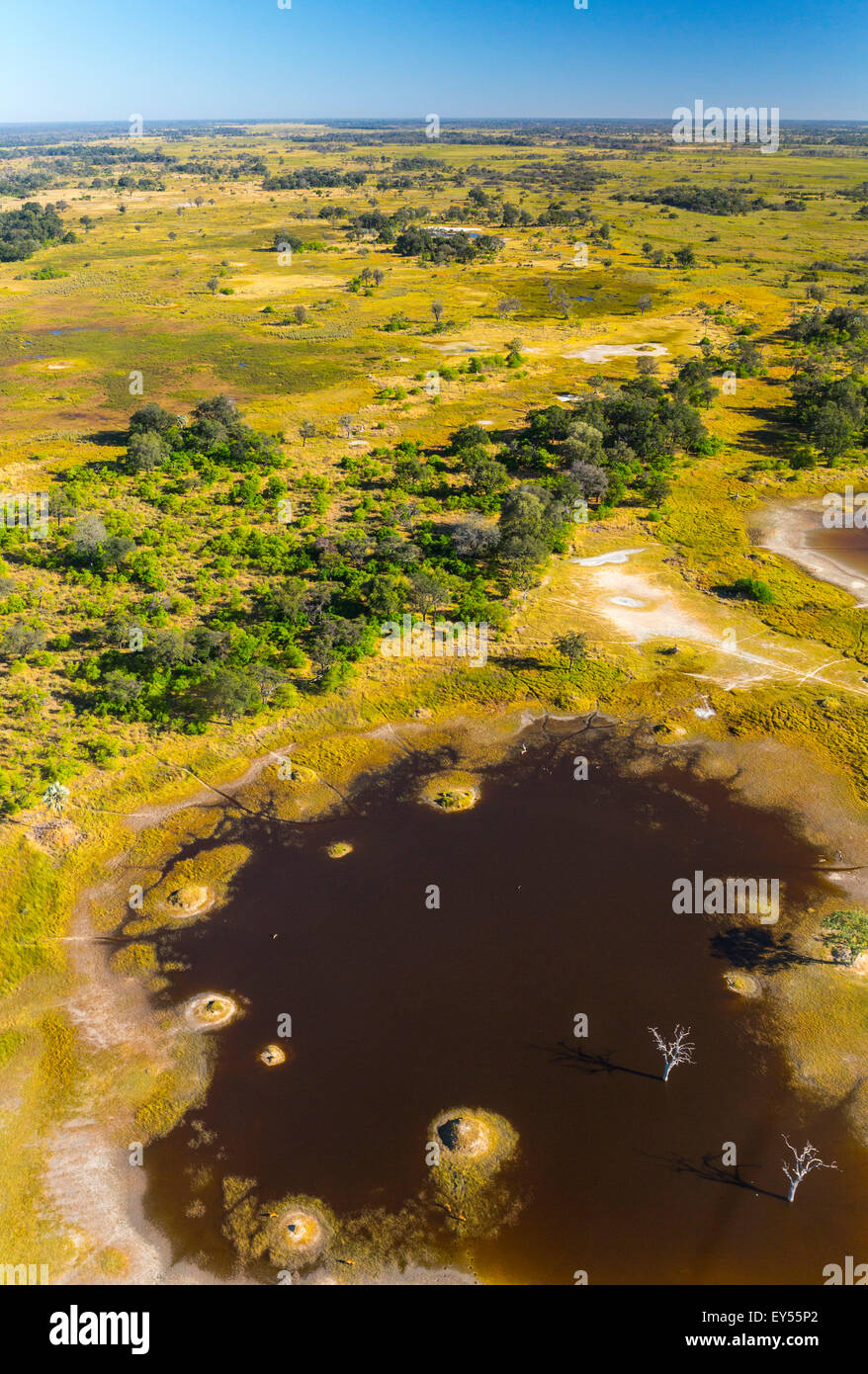Aerial view of the Okavango Delta - Botswana Stock Photo - Alamy