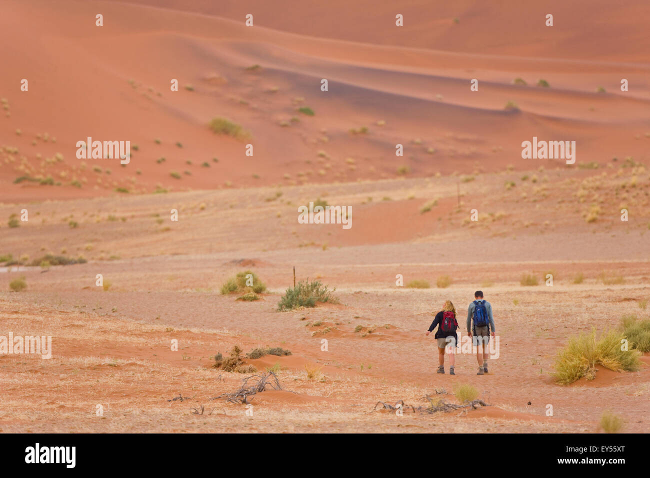 Tourists in the Namib Desert - Namibia Stock Photo - Alamy