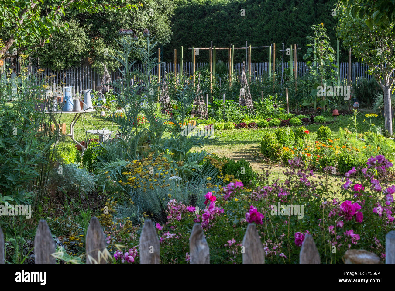 Rosa neón hi-res stock photography and images - Alamy