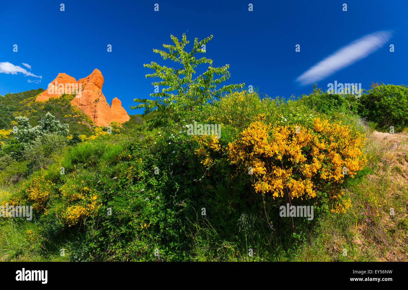 Relief of reddish sand and forest - Las Médulas Spain Stock Photo - Alamy