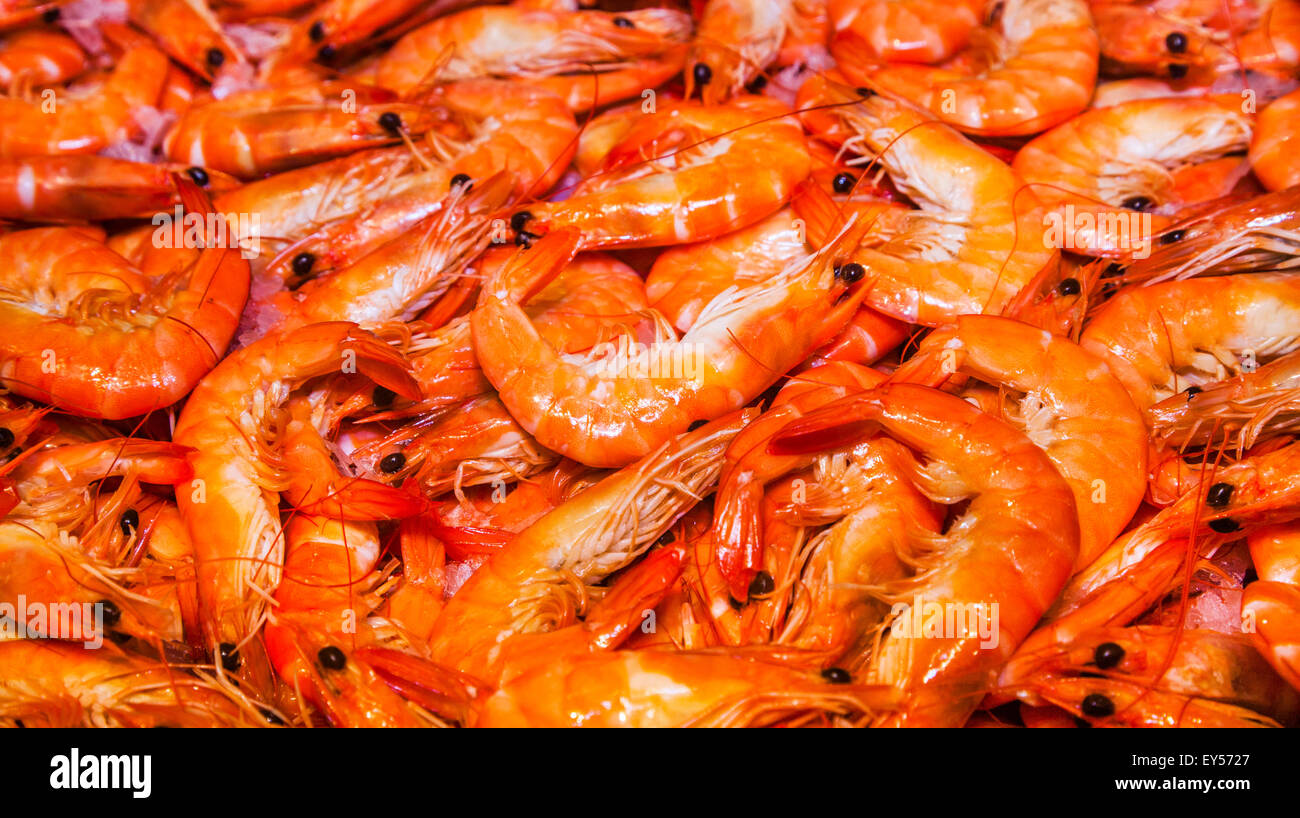 cooked tiger prawns, Sydney Fsch Market, Australia, New South Wales ...