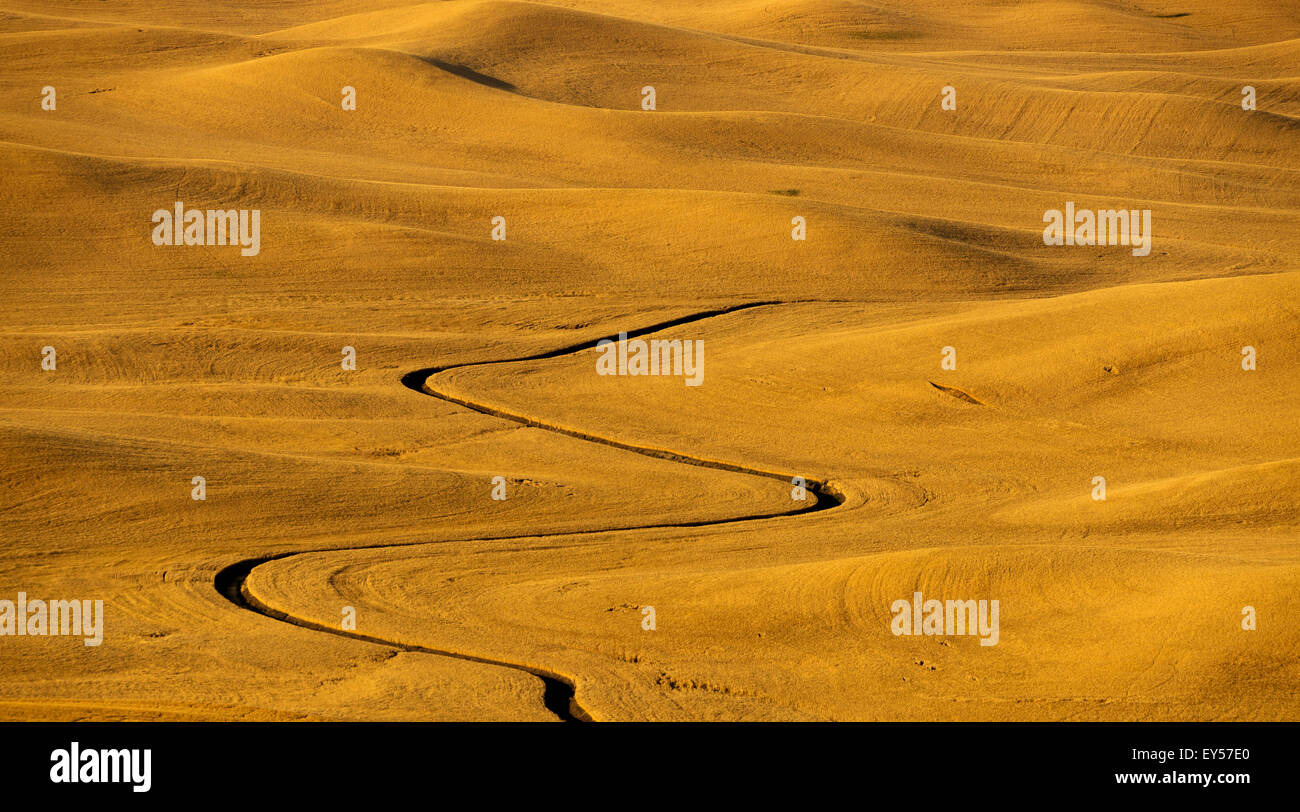 Loess hills planted with cereals and lentils -Washington USA It was ...