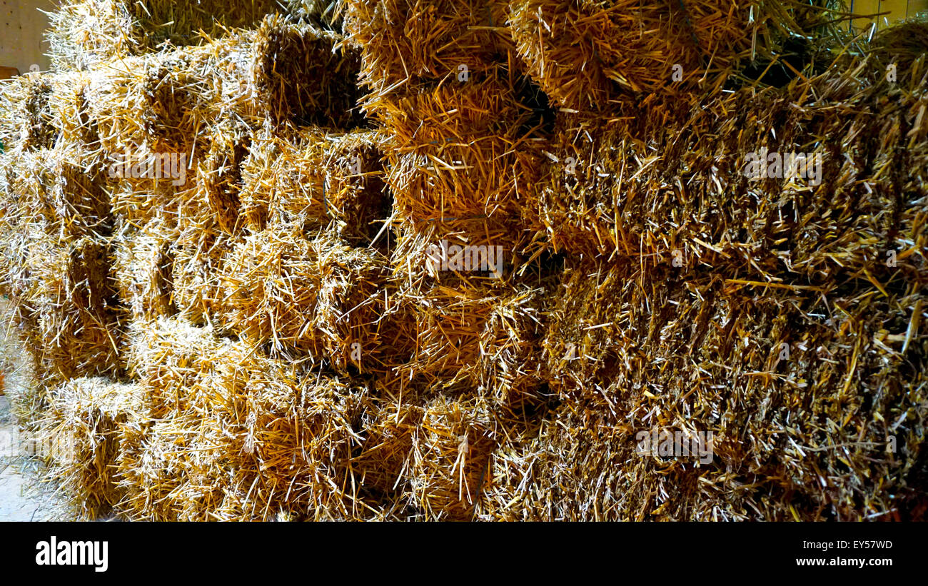 Straw bale house hi-res stock photography and images - Alamy