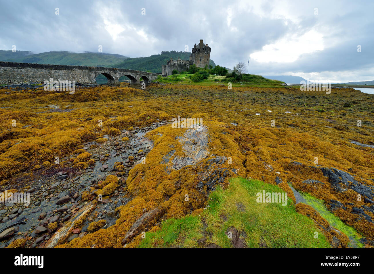 Eilean Donan castle at low tide - Scotland UK Stock Photo - Alamy
