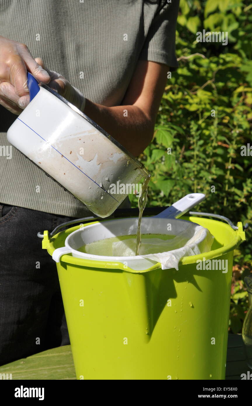 Mixing of a manure in a garden Stock Photo - Alamy
