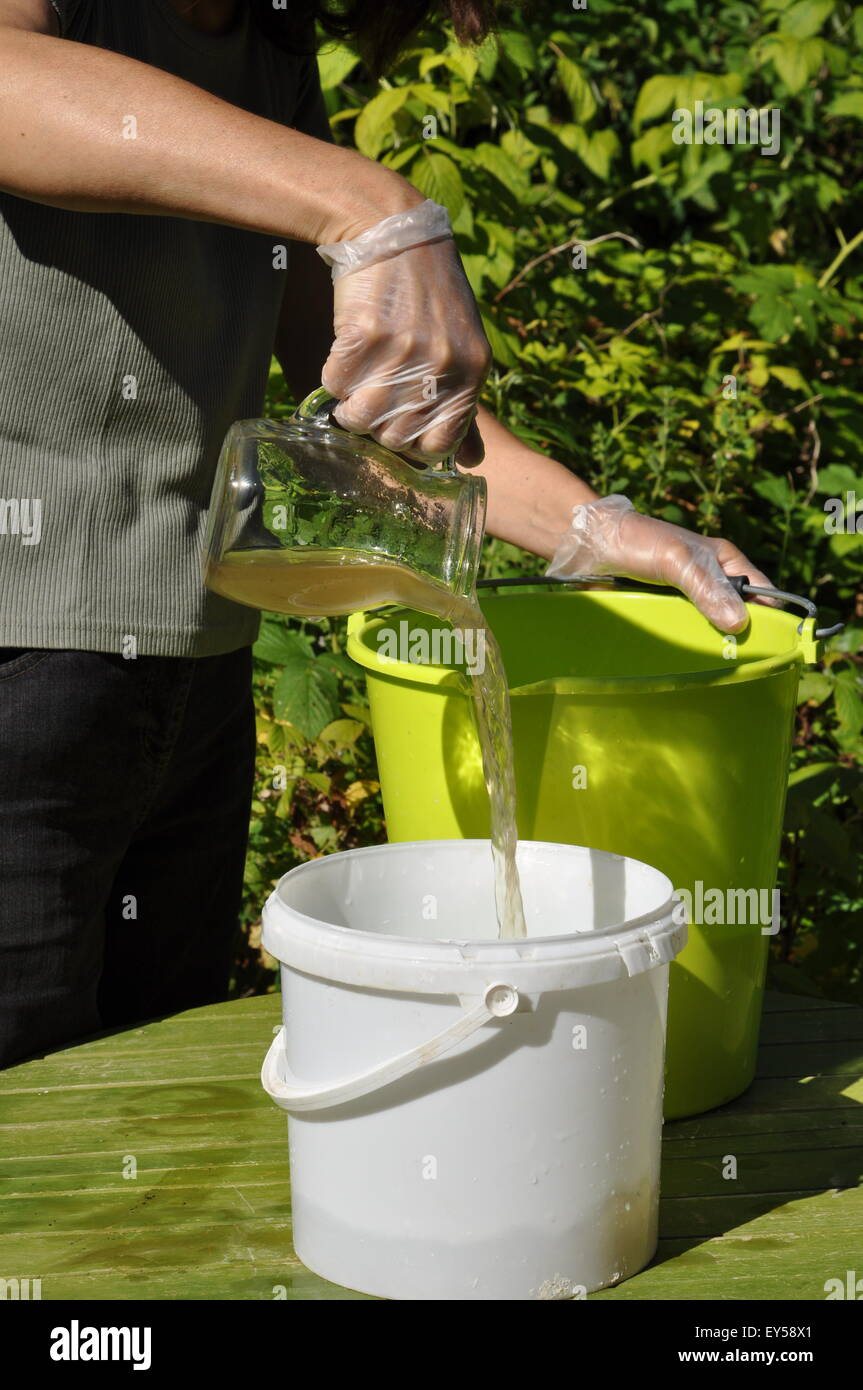 Mixing of a manure in a garden Stock Photo - Alamy