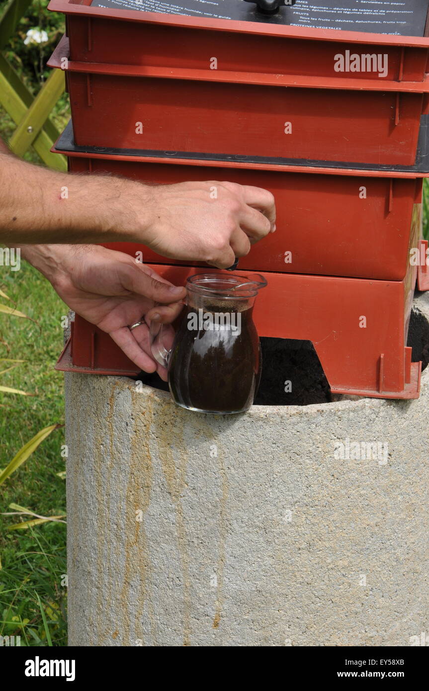 Mixing of a vermicompost juice based fertilizer in a garden Stock Photo ...