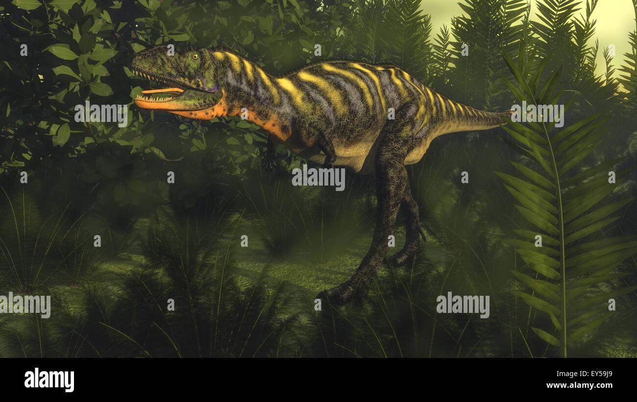 Aucasaurus dinosaur walking among magnolia, onychiopsis and nipa plants ...