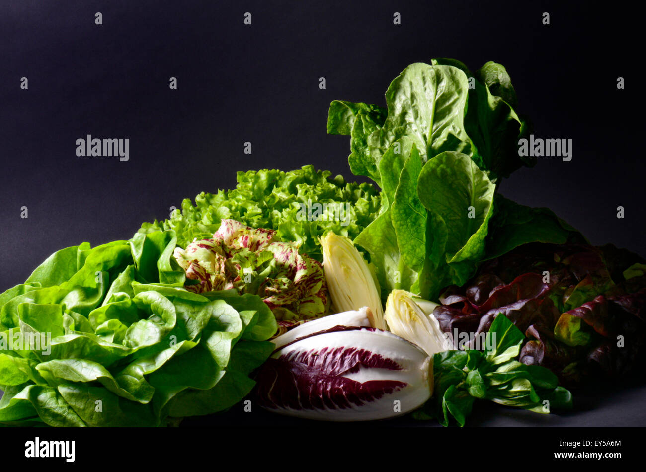 Salads composition on black background Red and green lettuce Romaine ...