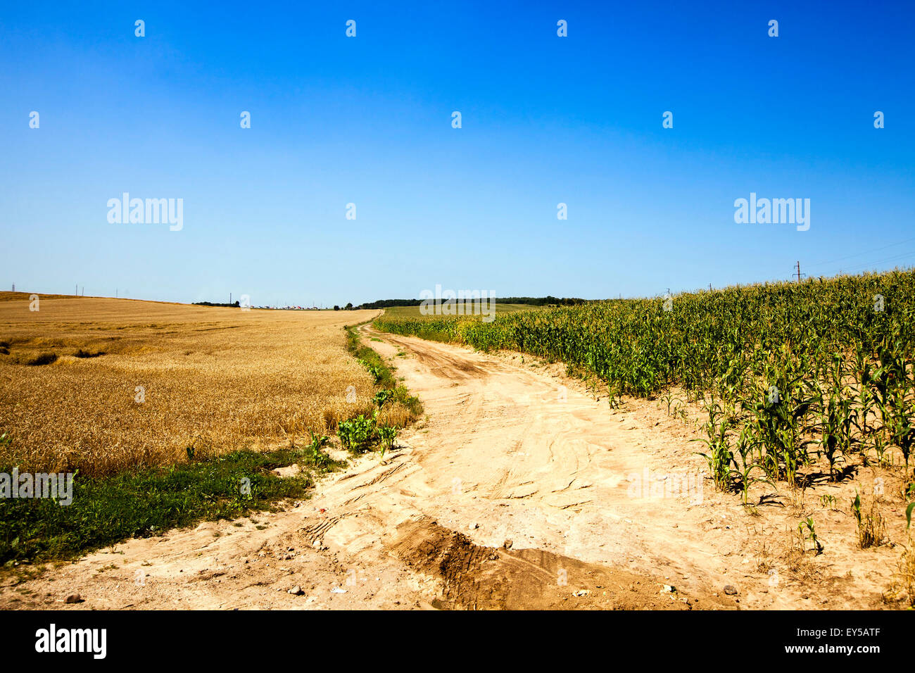 the rural road Stock Photo - Alamy