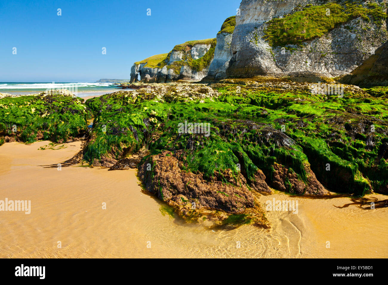 Beach and cliffs of White Rocks - Bushmills Northern Ireland Causeway ...