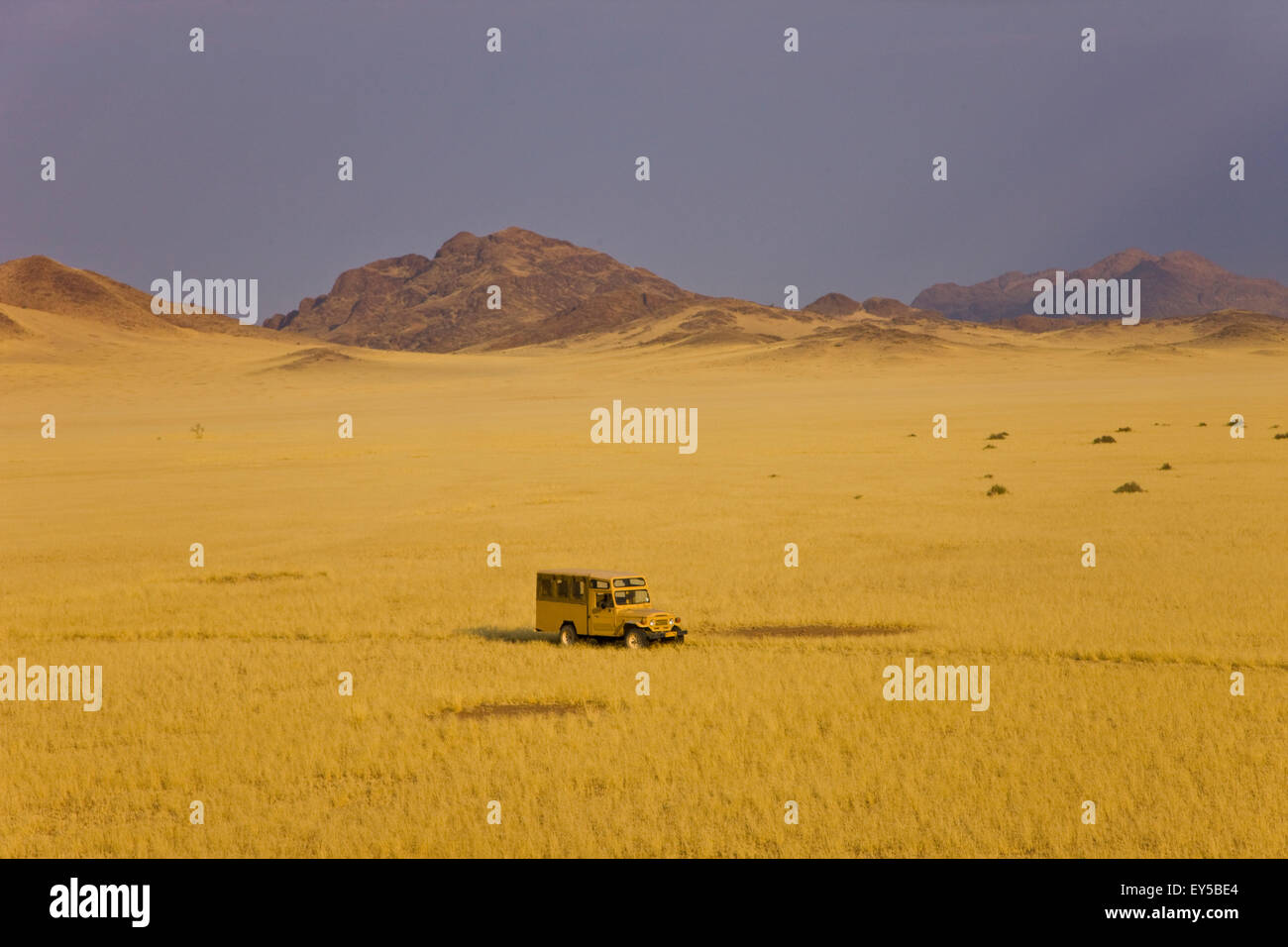 4x4 vehicle in the Namib Desert - Namibia Stock Photo - Alamy