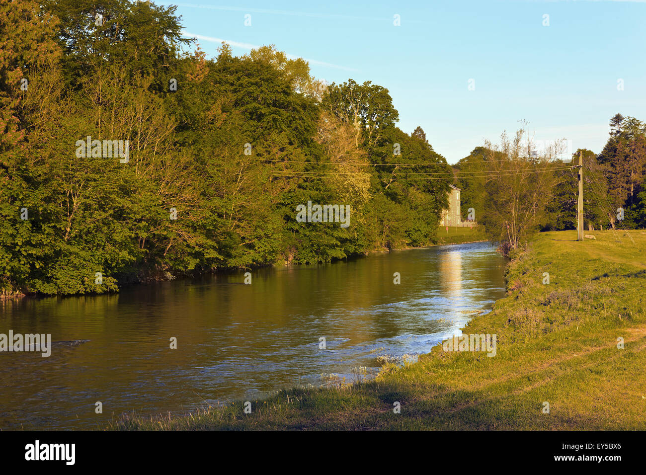 The River Tweed near Peebles, Scotland Stock Photo - Alamy