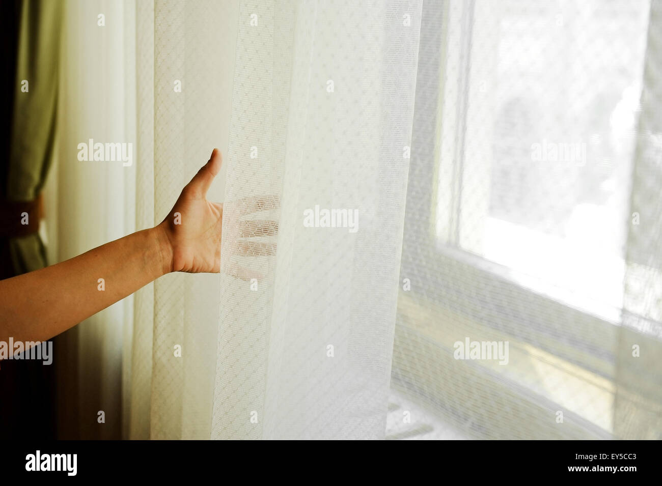 Hand pulling a window curtain for warm daylight to enter the room Stock ...