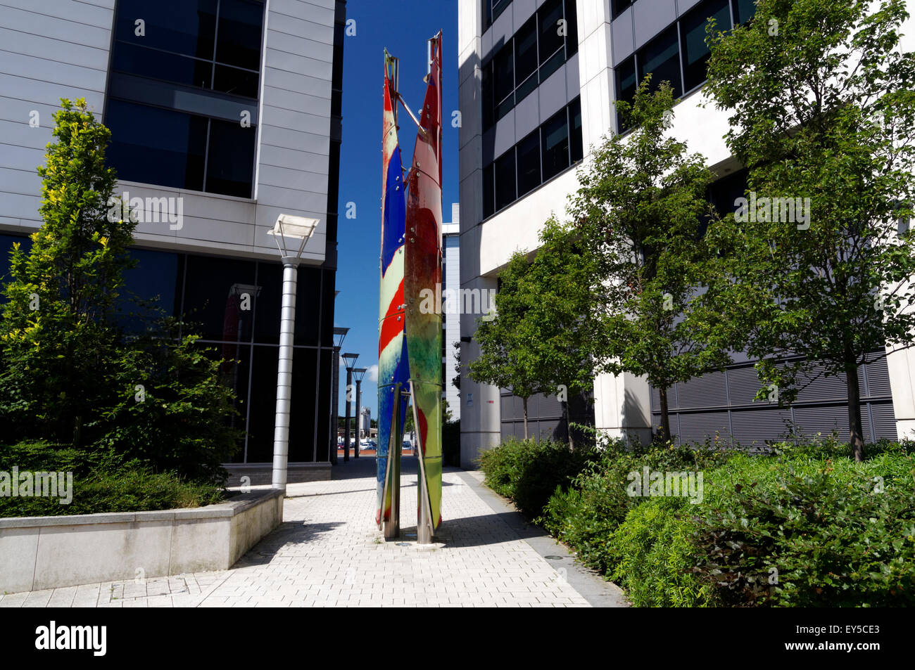 "Razor Shells" by Amber Hiscott and David Pearl, Callaghan Square ...