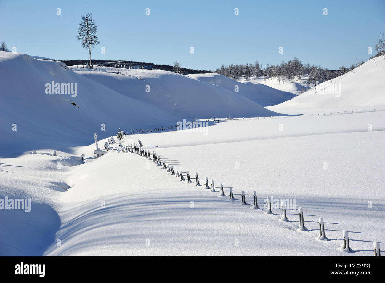 Snowy landscape in winter - Norway Stock Photo - Alamy