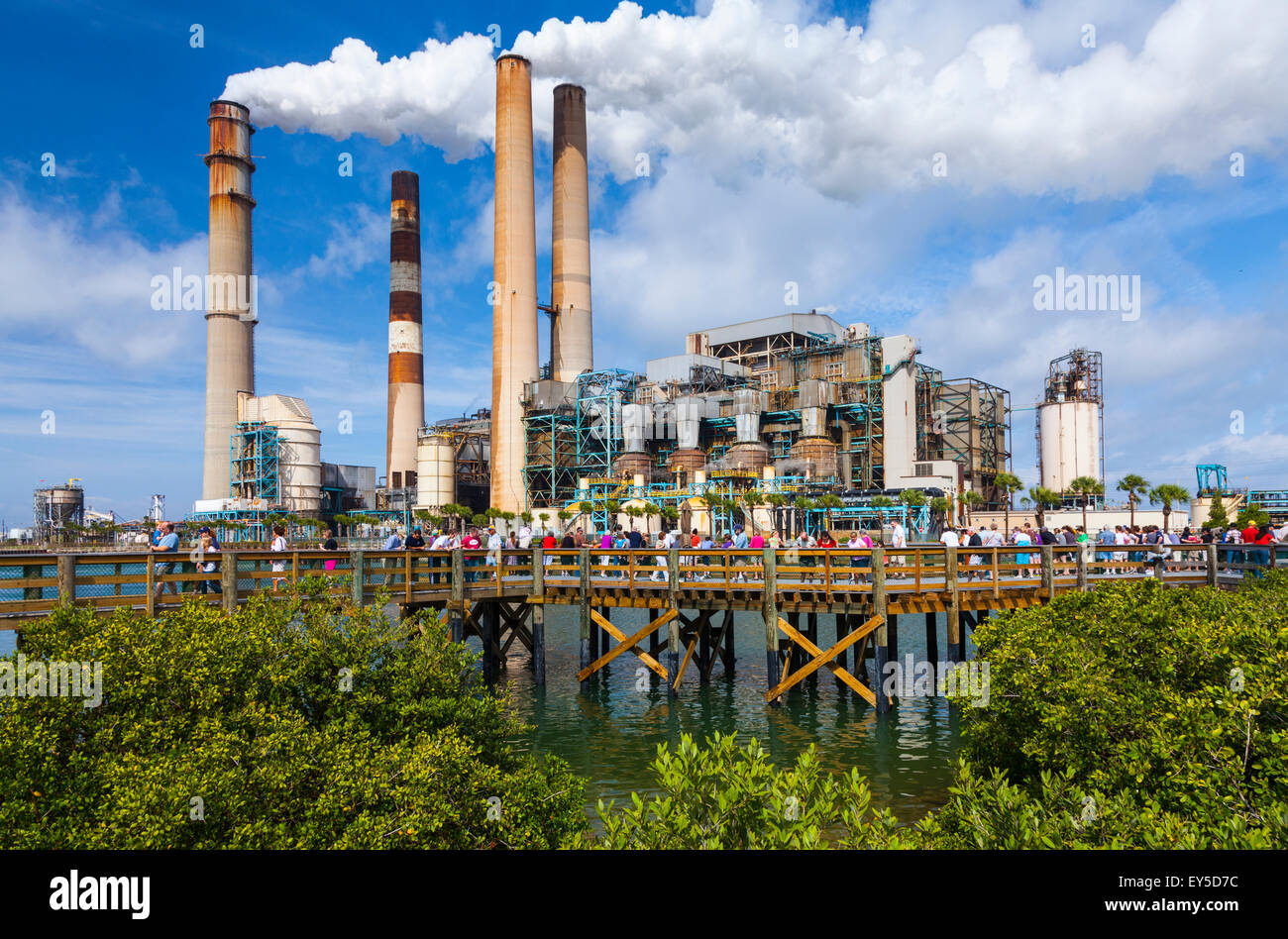 Manatee viewing center - Big Bend Power Station Florida USA Tampa ...