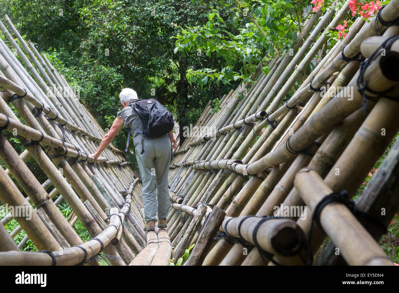 Man bridge hi-res stock photography and images - Alamy