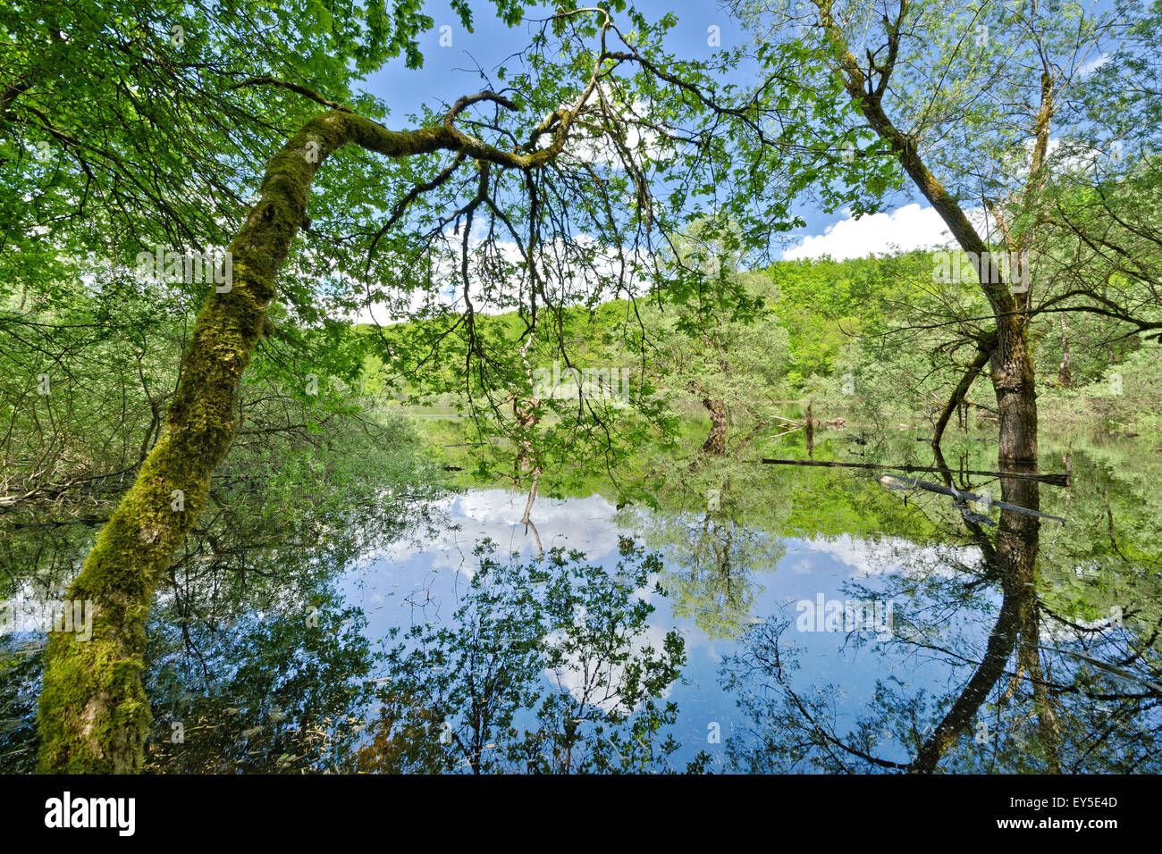 Reflection on Lake Bret spring - Bugey France Semi-temporary lake ...