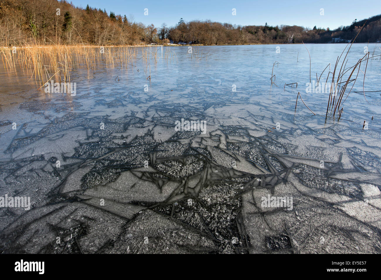 Ice on surface of Lake Ambléon - Bugey France Stock Photo - Alamy
