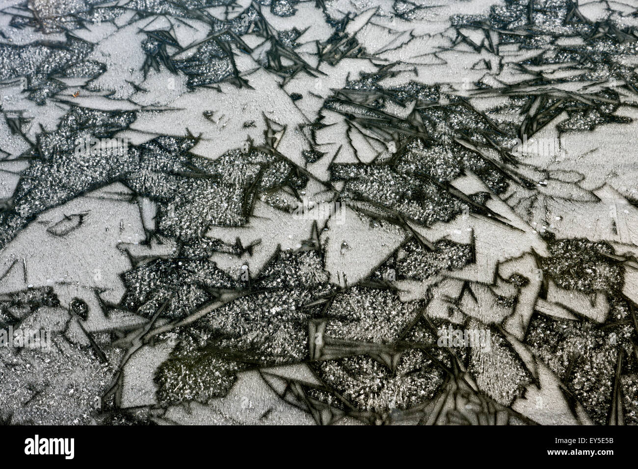 Ice on surface of Lake Ambléon - Bugey France Stock Photo - Alamy