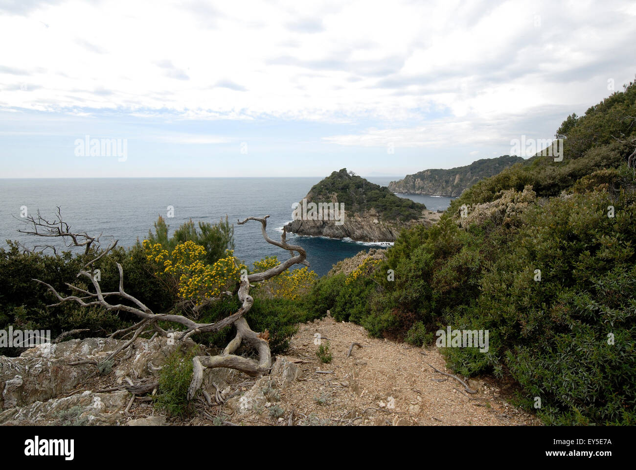 Port Cros France Park High Resolution Stock Photography and Images - Alamy