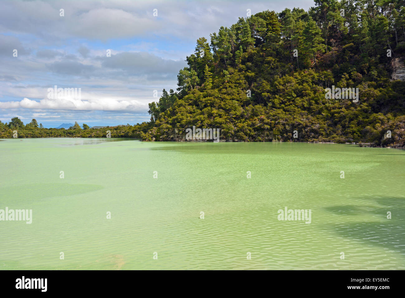 Geothermal site Taupo - Wai-O-Tapu New Zealand the color comes from ...