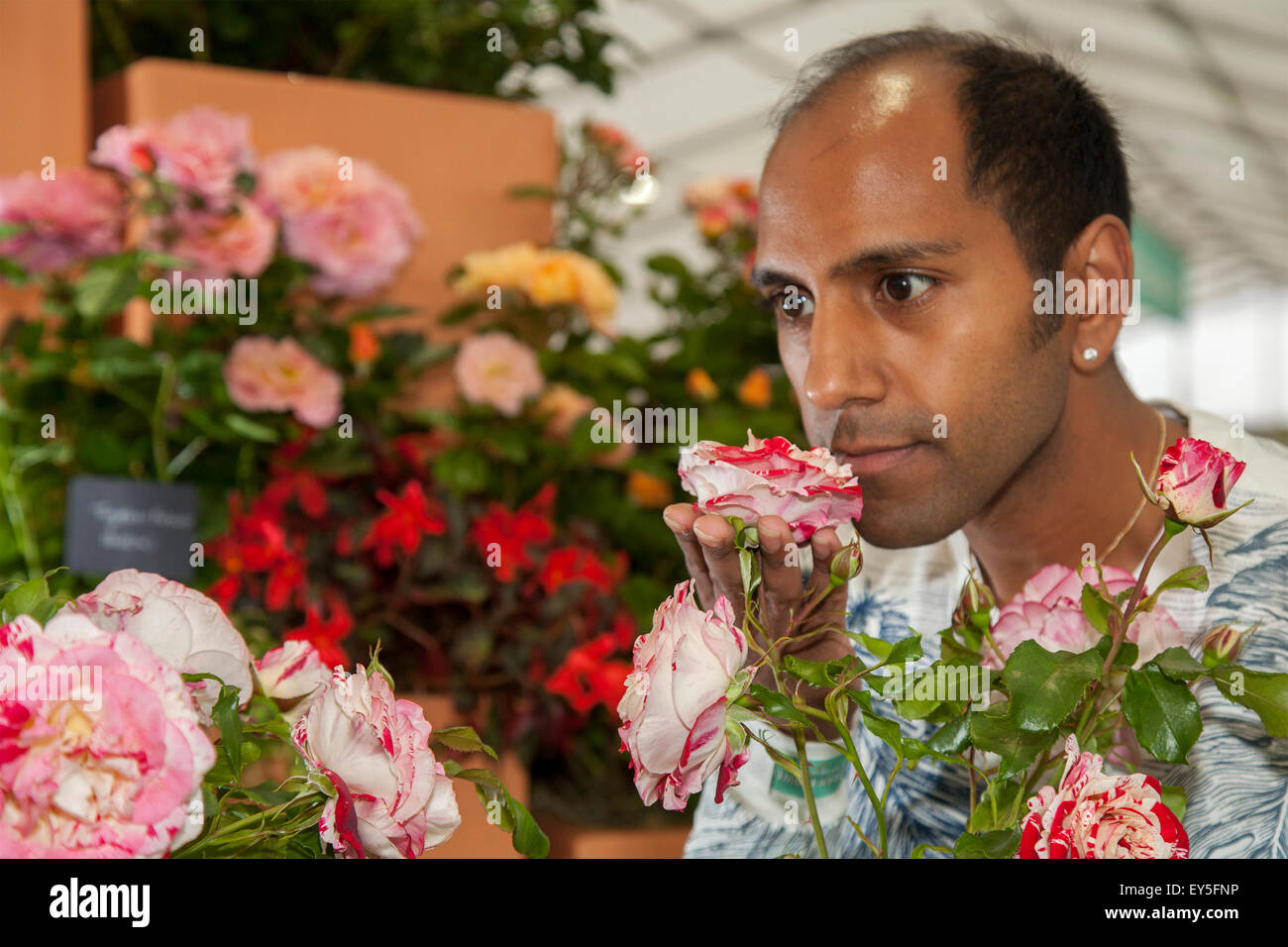 Distinctive flower forms hi-res stock photography and images - Alamy
