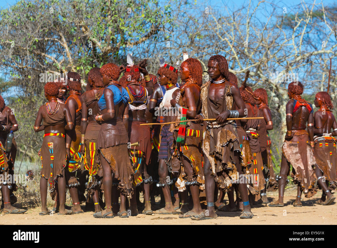 Hamer women at a ceremony - Omo valley Ethiopia Stock Photo - Alamy