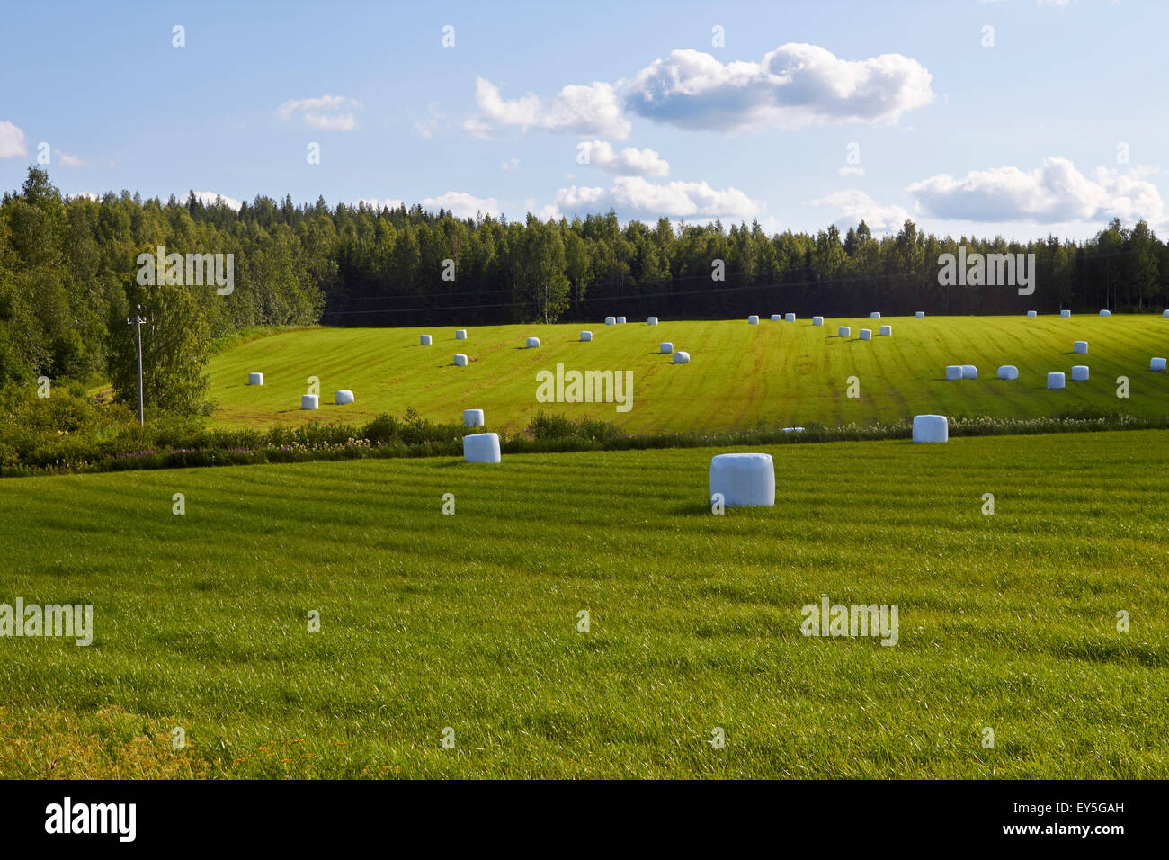 rural landscape, Finland Stock Photo - Alamy