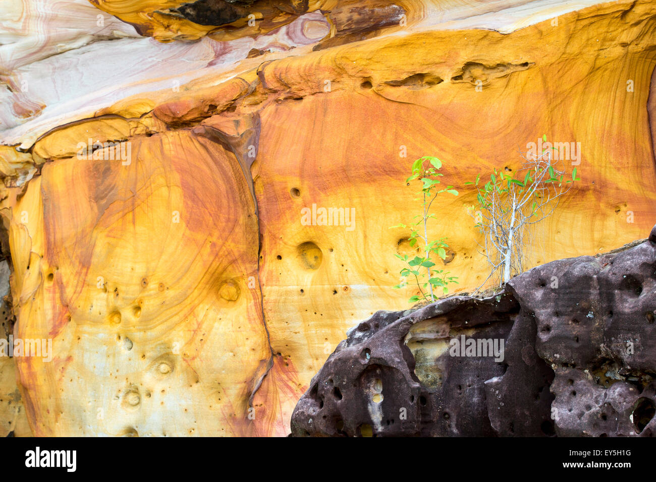 Iron Sandstone High Resolution Stock Photography and Images - Alamy