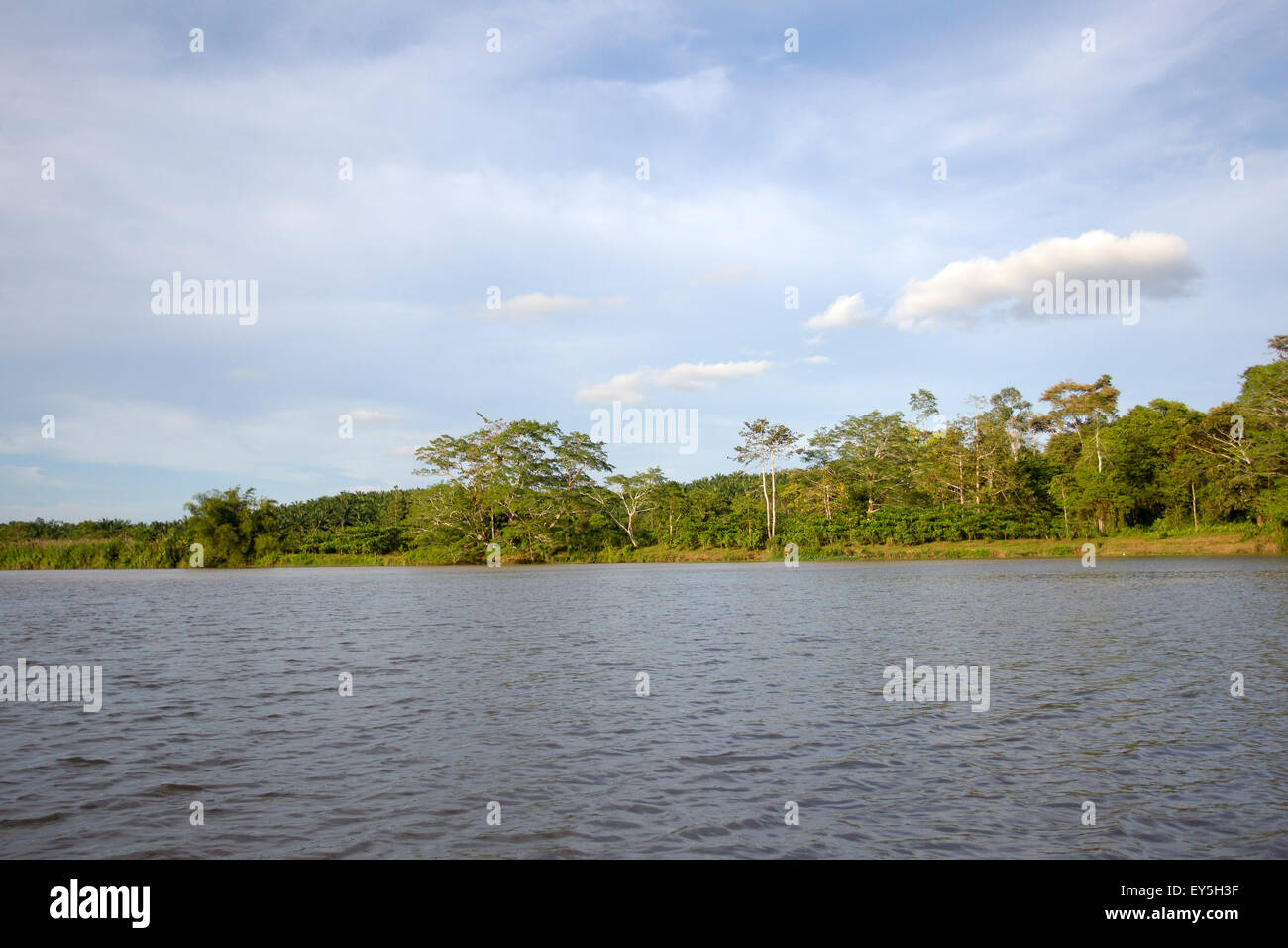 Kinabatangan River - Sabah Borneo Malaysia Stock Photo - Alamy