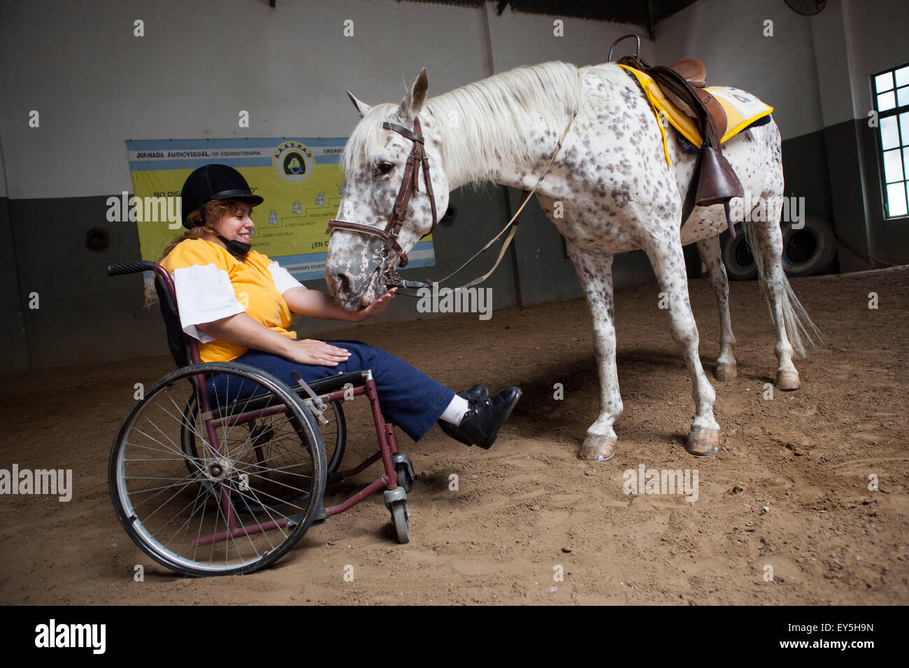 Riding for the disabled horse hi-res stock photography and images - Alamy