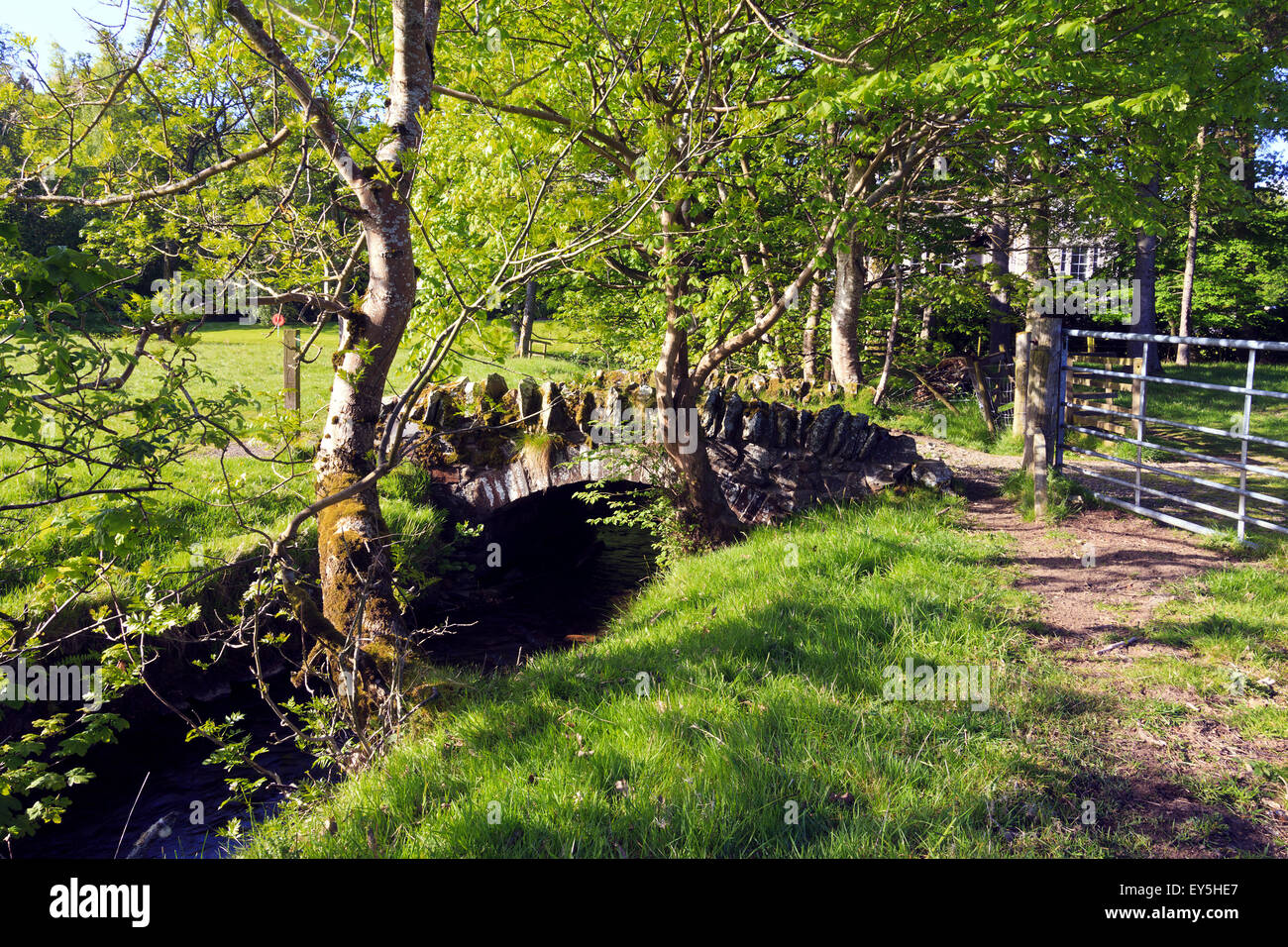 Old Stone Bridge on the Tweedside Path near Peebles, Scotland Stock ...