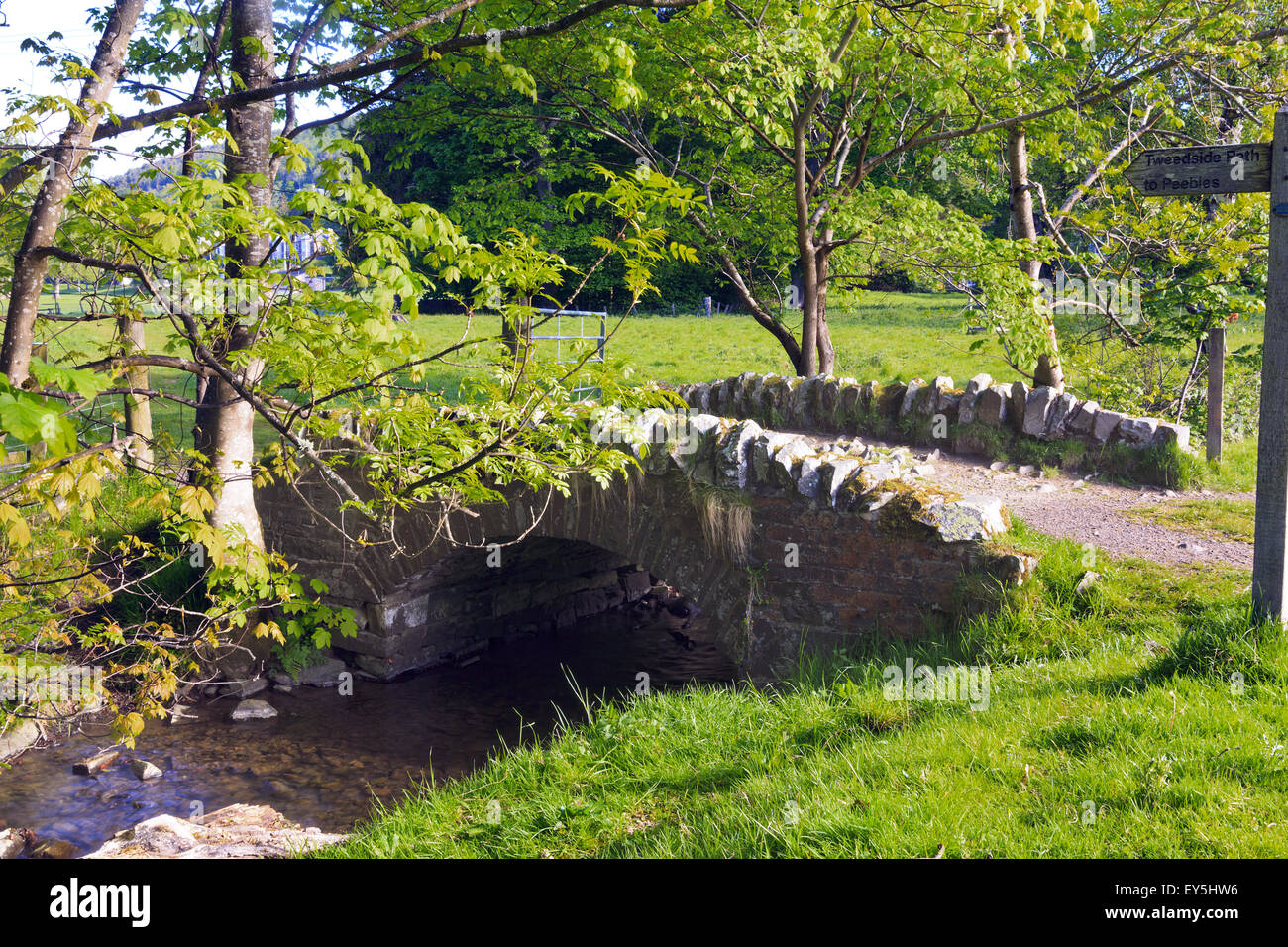 Old Stone Bridge on the Tweedside Path near Peebles, Scotland Stock ...