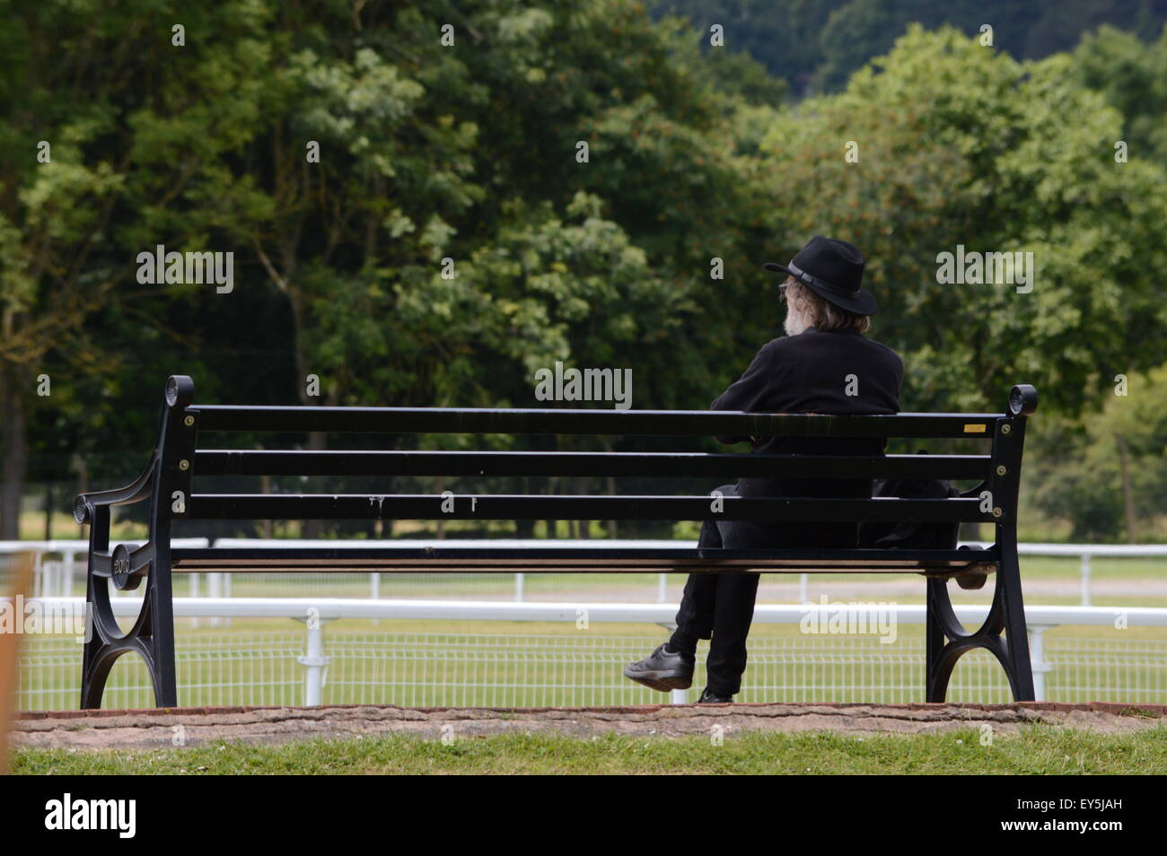 Man on a Bench Stock Photo - Alamy