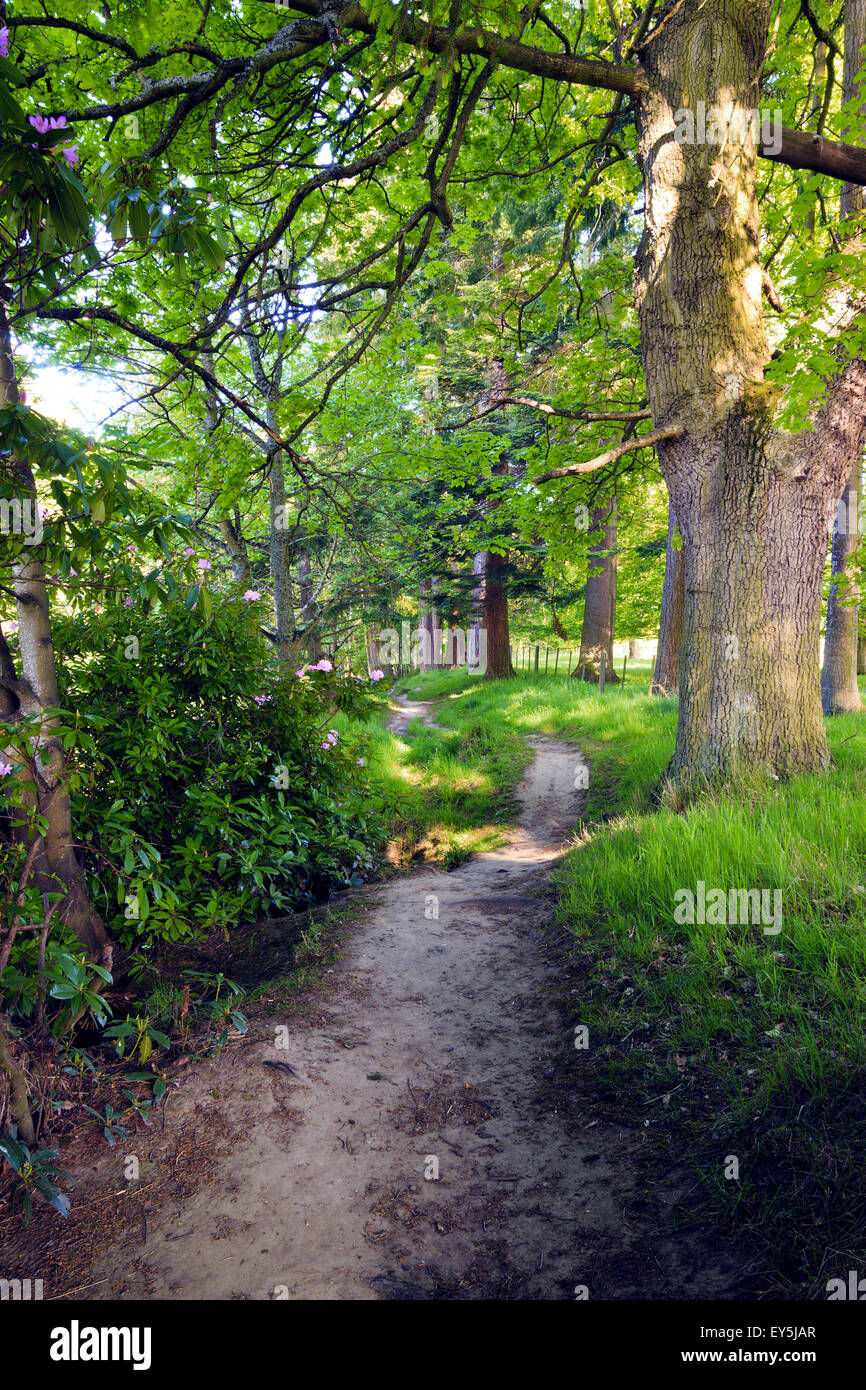 Wooded walk on the Tweedside Path near Peebles, Scotland Stock Photo ...