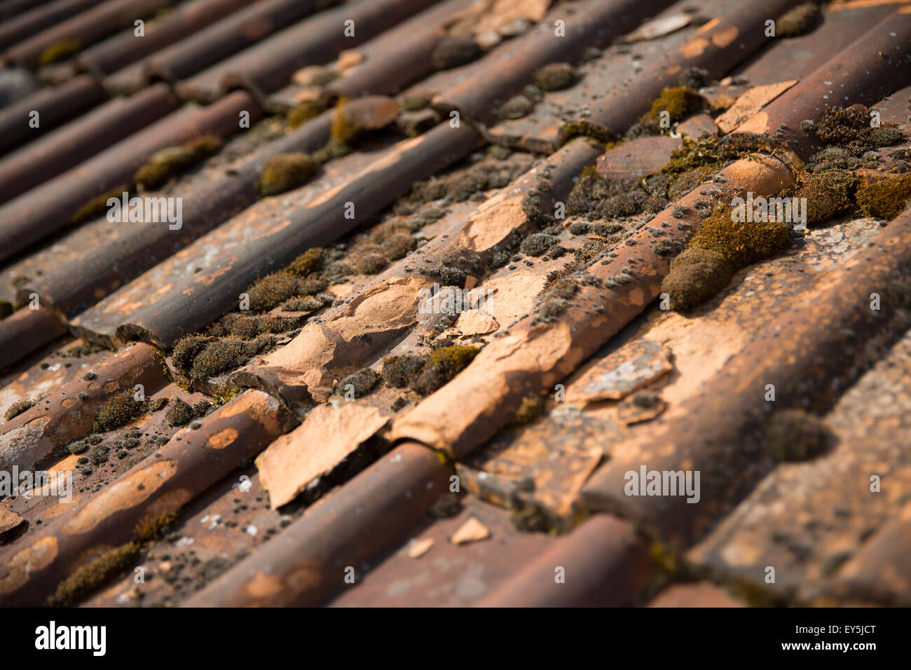 Damaged roof tiles Stock Photo - Alamy