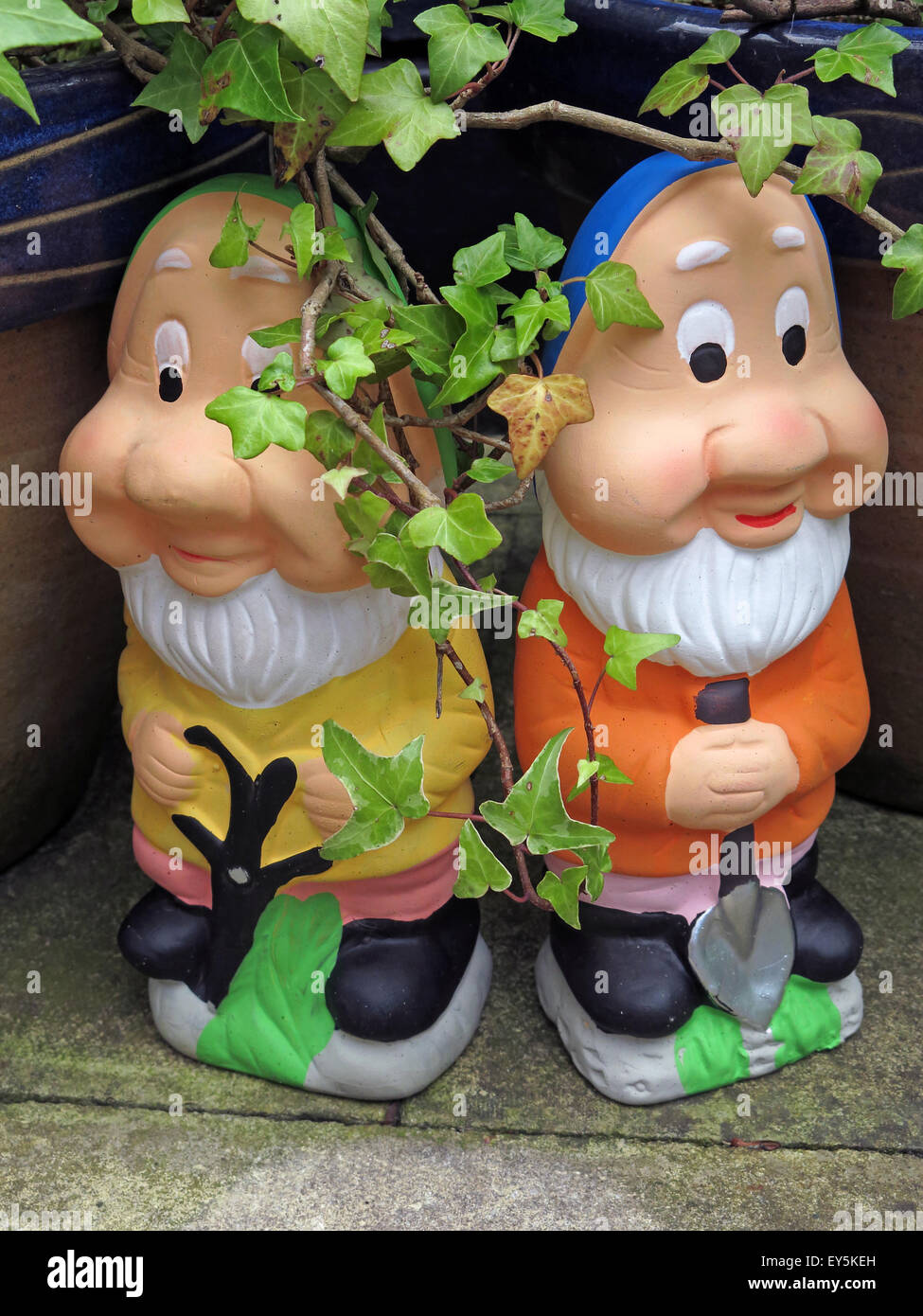 Two comical classic British garden Gnomes with ivy, overgrown garden ...