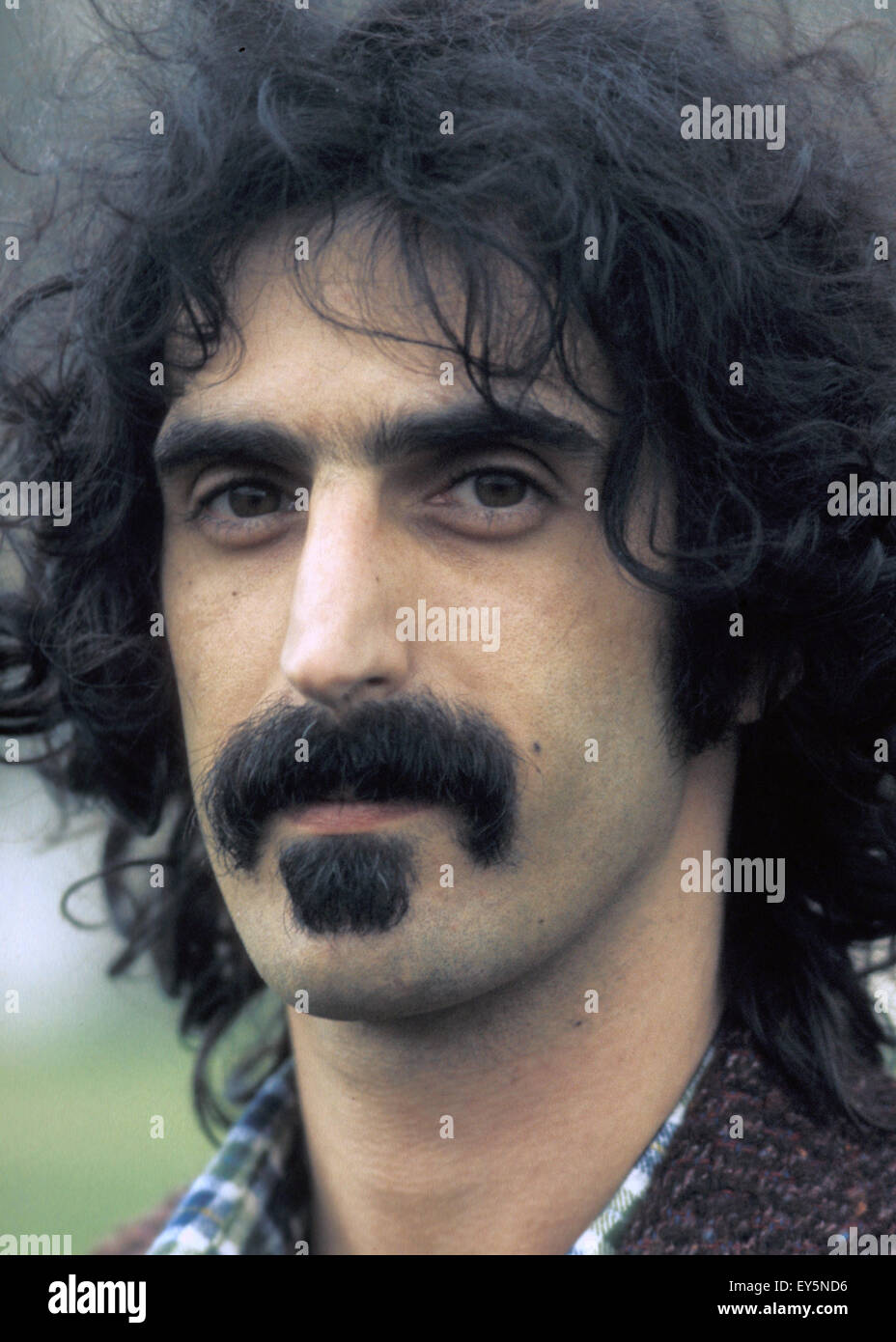 Zappa Beard
