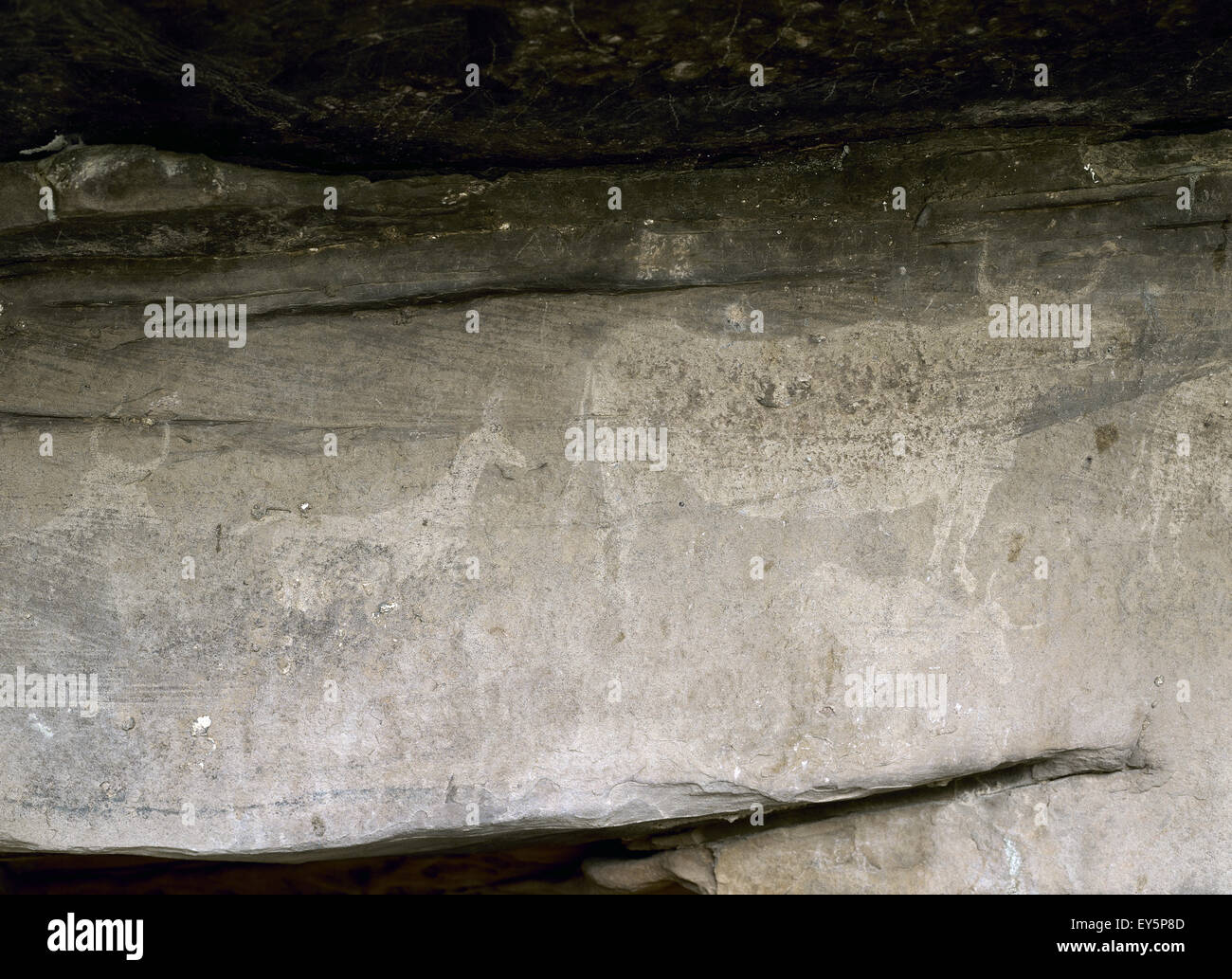 Levantine rock painting hi-res stock photography and images - Alamy